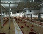 DemTav Tavukçuluk Yakup Demir (Sakarya, Karasu, Darıçayırı Mah.), yönetim ofisi  Karasu'dan