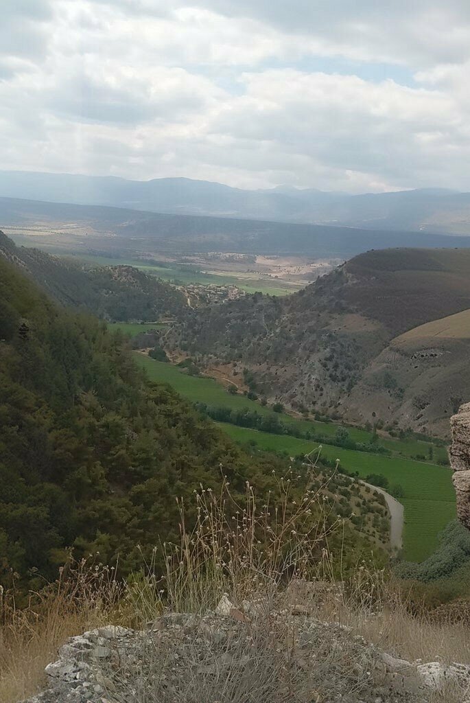 Muhtarlıklar Ortalıca Köy Muhtarlığı, Tosya, foto