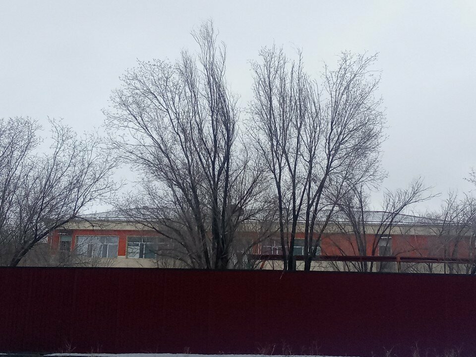 Fen lisesi, sosyal bilimler lisesi Gymnasium No. 1, Setbayev (Satpayev), foto