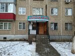 Lawyers (Abay Avenue No:49), avukatlar  Oral'dan (Uralsk'tan)