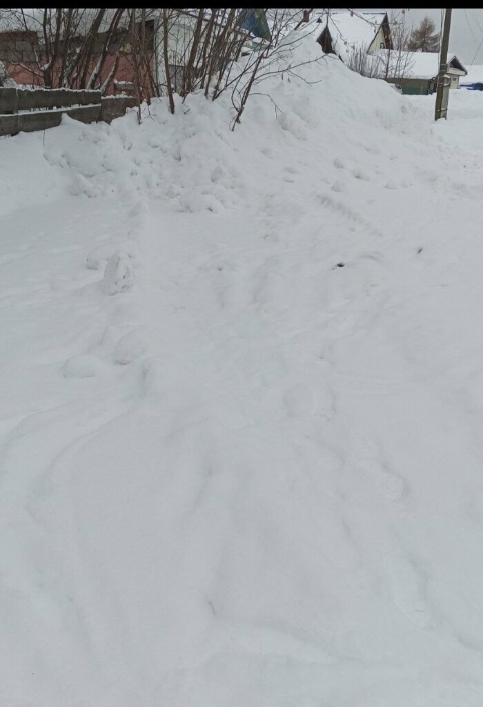 Yol yapımı ve bakımı Приоритет, Permski krayı, foto