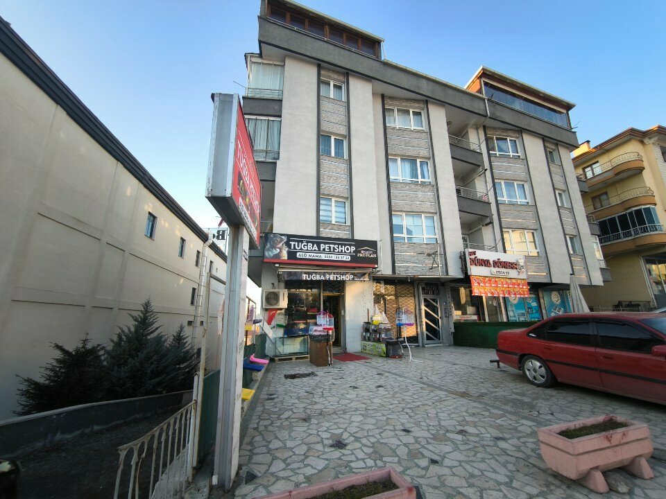 Petshop Sevimli Canlar Petshop Akvaryum Kuş Balık, Ankara, foto