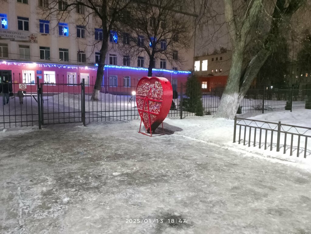 Hayırsever konteyner Сердечные крышечки, Velikiy Novgorod, foto