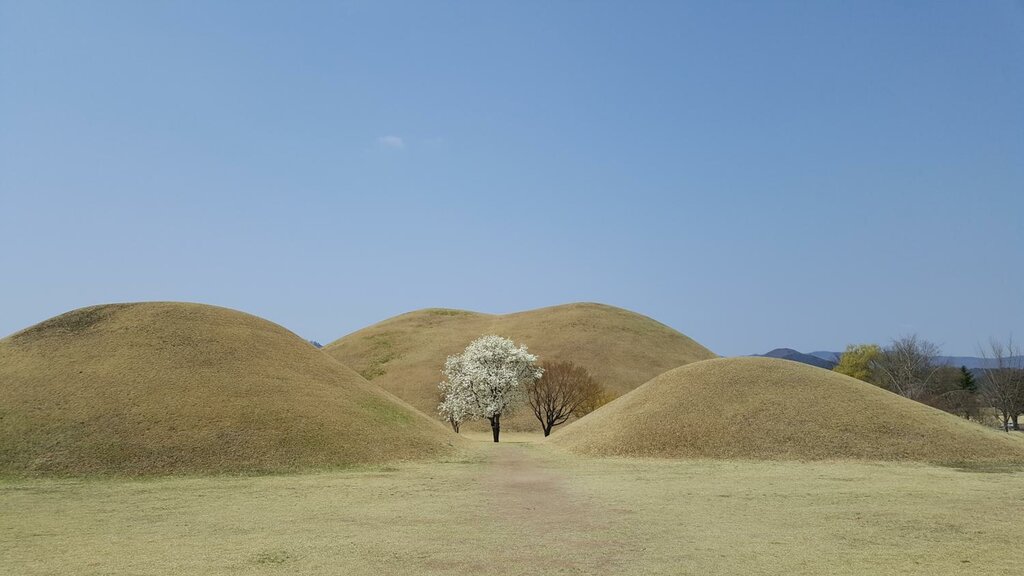 Otel Trip to Gyeongju, Kyonchju, foto