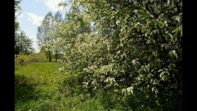 Mezarlıklar Городское кладбище № 2, Çita, foto