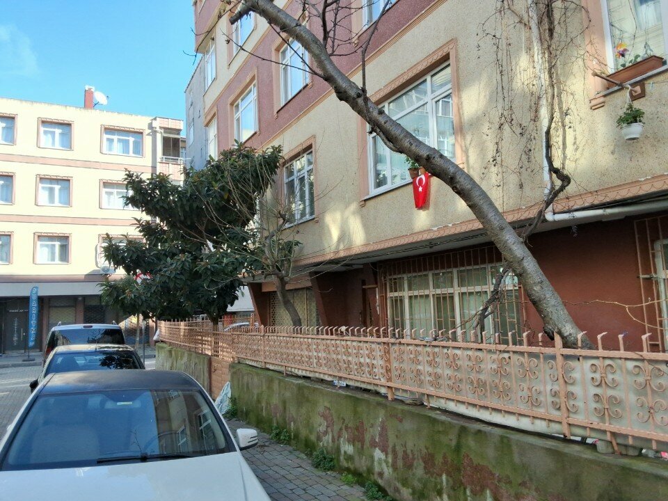 Mobilya mağazaları Karadeniz Mobilya Dekorasyon, İstanbul, foto