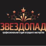 Zvezdopad (ulitsa Tereshkovoy No:3), sanat okulları  Mytişçi'den