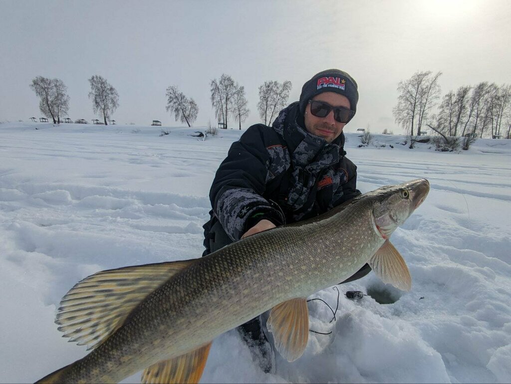 Plaj Beach, Altayski krayı, foto