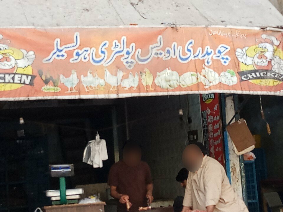 Kanatlı hayvan ürünleri ve yumurta Chaudhary awais, Karaçi, foto