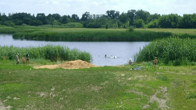 Plaj Ребячка, Voronejskaya oblastı, foto