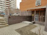 Новый Свет (Pervomayskaya ulitsa No:14), spor kulüpleri  Balaşiha'dan