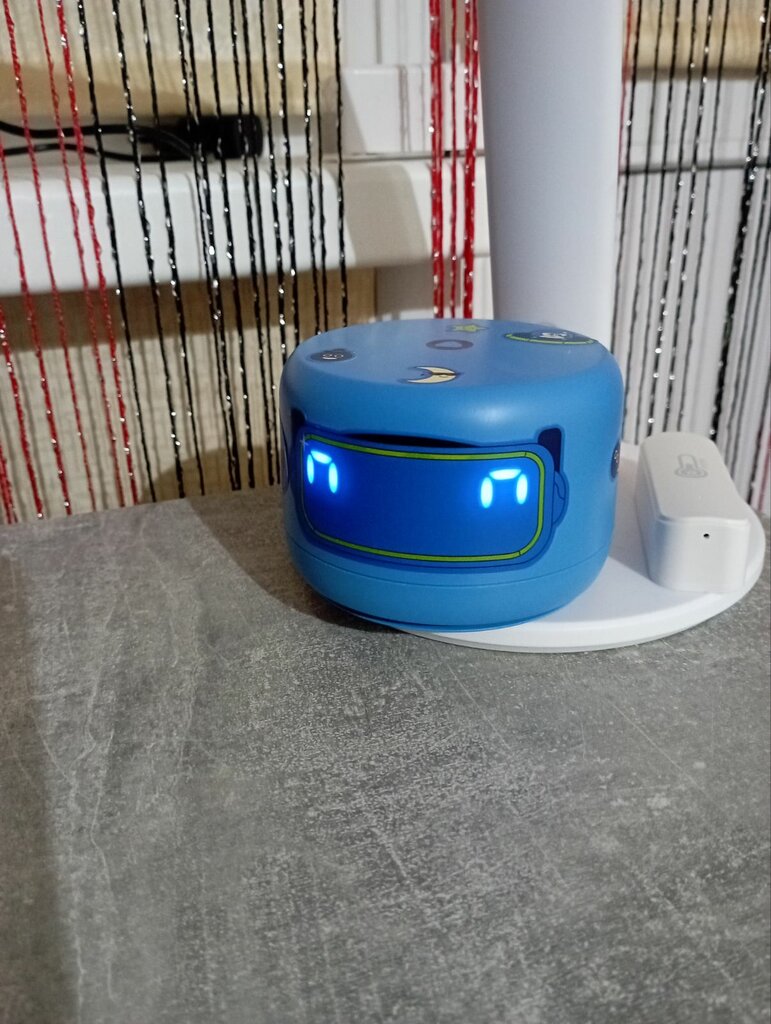 Orman Awgustowski Special Tourist and Recreational Park, Grodnenskaya oblastı, foto