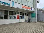 Твой Друг Зоомагазин.рф (Marshala Zhukova Avenue No:5/1), petshop  Irkutsk'tan