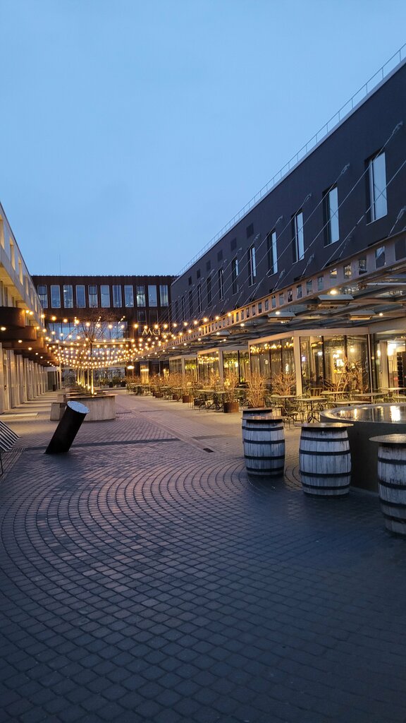 Alışveriş merkezleri Paupio Turgus, Vilnus, foto