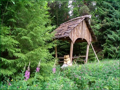 Pınar, çay Исток реки Вотка, Udmurtiya, foto