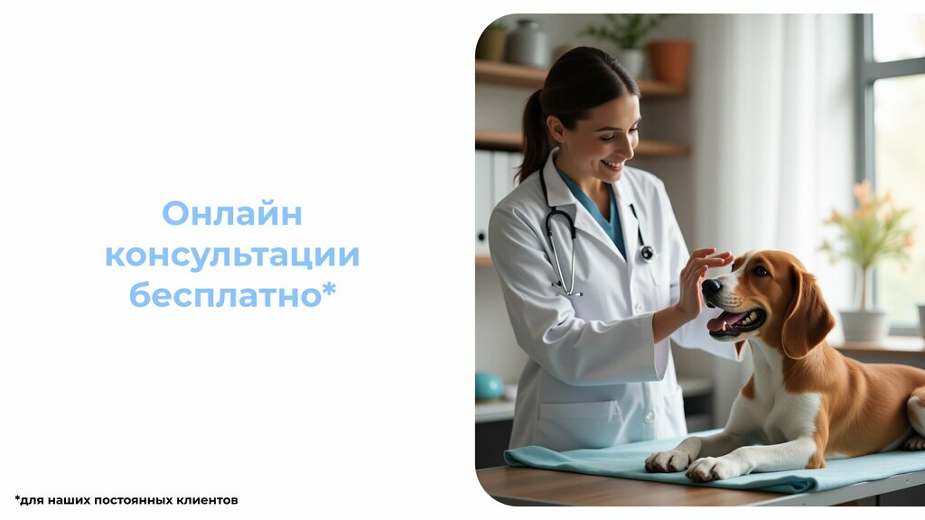 Veteriner klinikleri Help paws, Moskova, foto