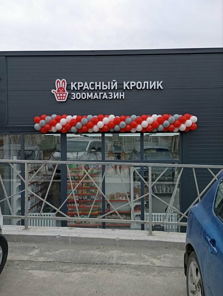 Petshop Красный кролик, Novosibirskaya oblastı, foto