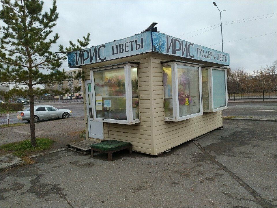 Çiçekçiler Iris, Karağandı, foto