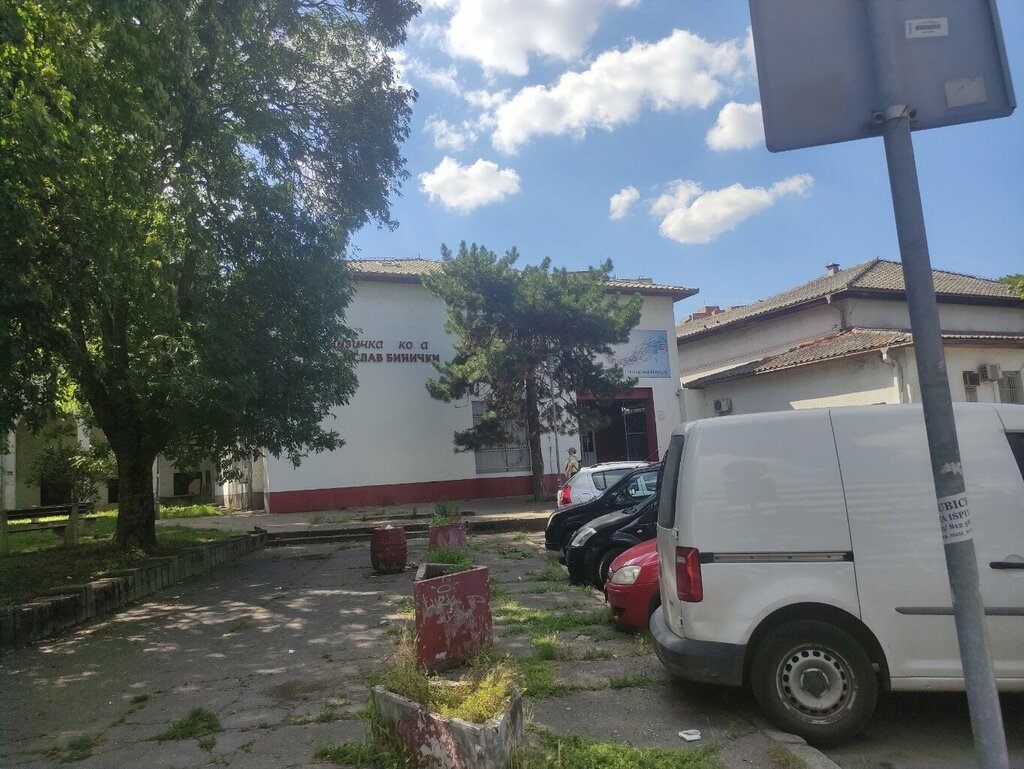 Kurs Myzička škola Stanislav Binički - A, Belgrad, foto