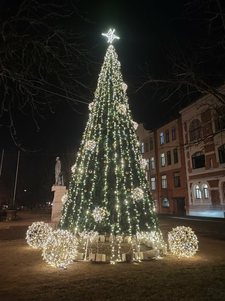 Anıt, heykel В.И. Ленин, Saint‑Petersburg, foto