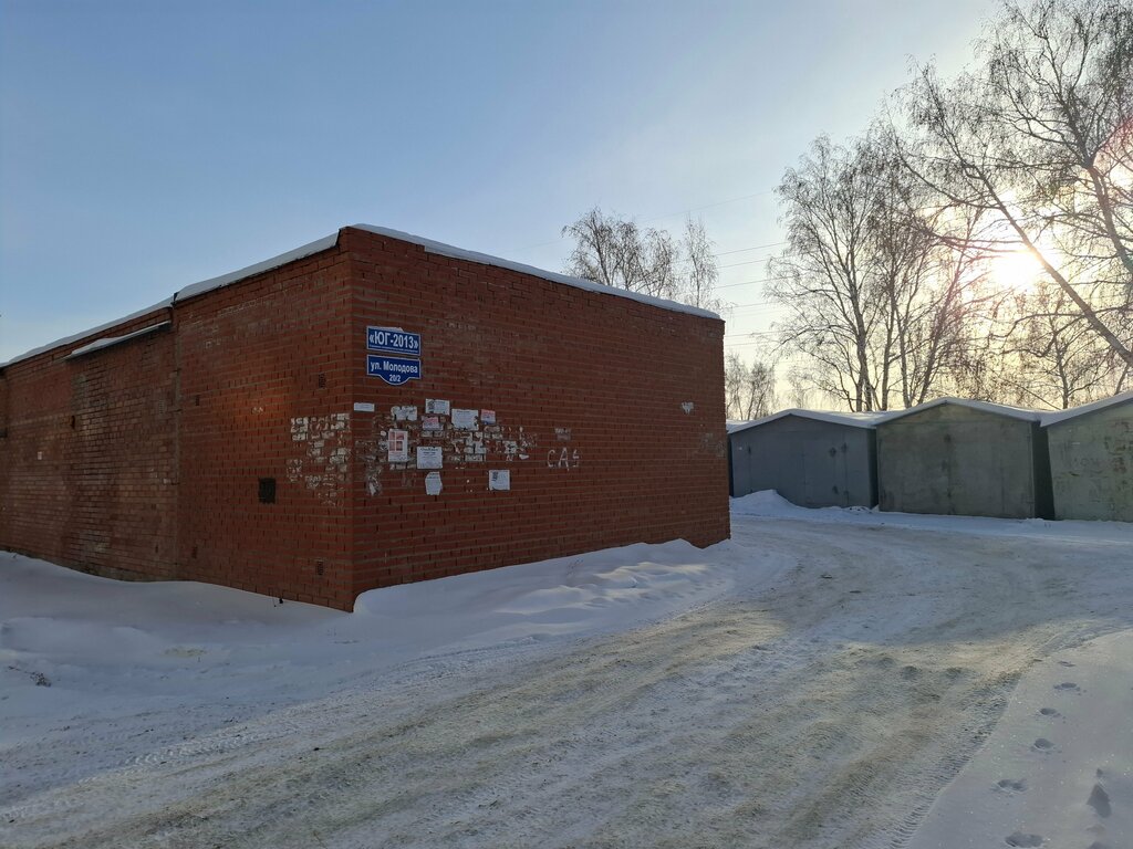 Garajlar Юг-2013, Omsk, foto