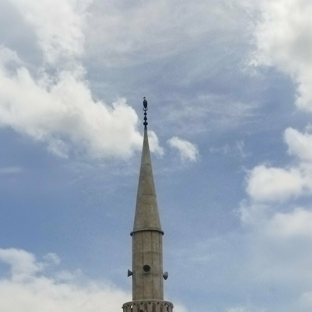 Muhtarlıklar Çetindurak Köy Muhtarlığı, Akyaka, foto