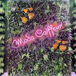 Moda Kuaför (Ankara, Çubuk, Yavuzselim Mah., İzzet Korman Sok., 5C), kuaförler  Ankara'dan