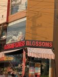 Blossoms (Johar Town Road No:26N, Johar Town), çiçekçiler  Lahor'dan