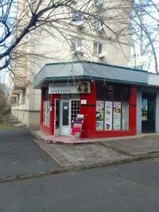 Gözəllik salonu (Heydər Əliyev prospekti No:286B), güzellik salonu  Mingeçevir'den