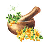 Caucasus herbs (ulitsa Yuzhakova No:3), besin takviyesi, aktariye  Vologda'dan