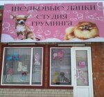 Шелковые Лапки (Vokzalnaya ulitsa No:14/3В), evcil hayvan kuaförleri  Pugaçov'dan