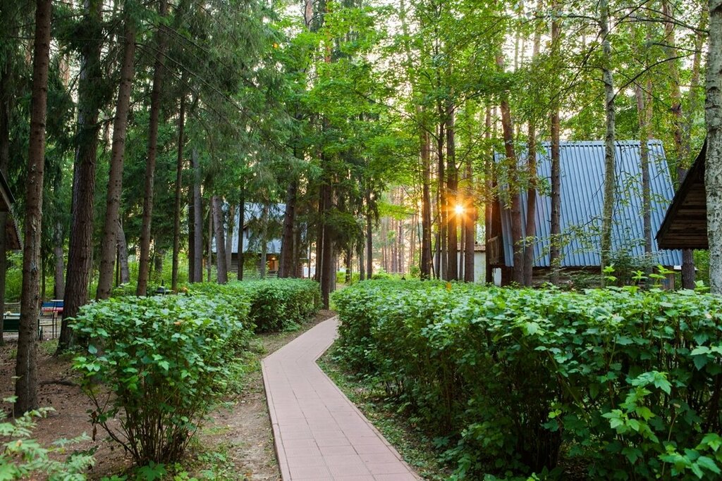 Resort oteller, tesisler База отдыха Озерный, Nijegorodskaya oblastı, foto