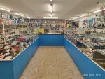 Автозапчасти (Tsentralnaya ulitsa No:11Б, selo Lobanovo), otomobil yedek parçaları  Permski krayından