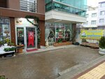 Çalı Çiçekçilik Bursa (Bursa, Nilüfer, Çalı Mah., Atatürk Cad., 26AB), çiçekçiler  Bursa'dan