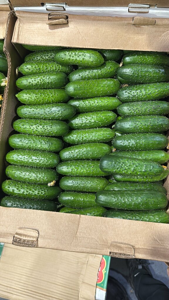 Manavlar Овощи и фрукты, Podolsk, foto