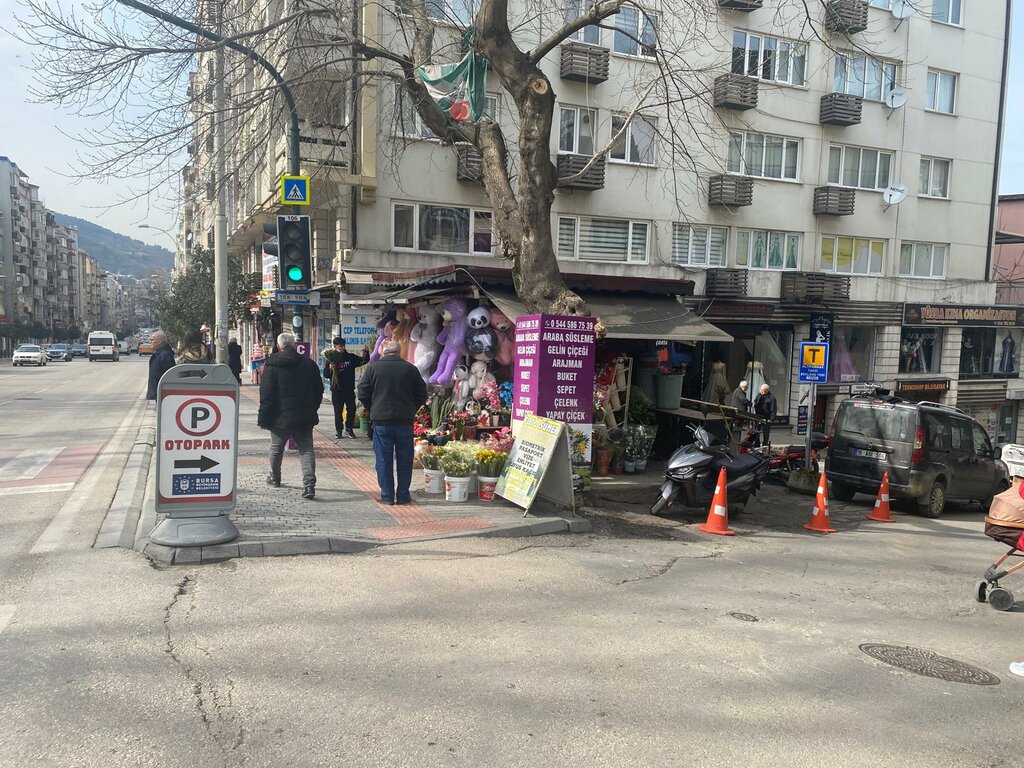 Çiçekçiler Altıparmak Çiçekçilik, Bursa, foto