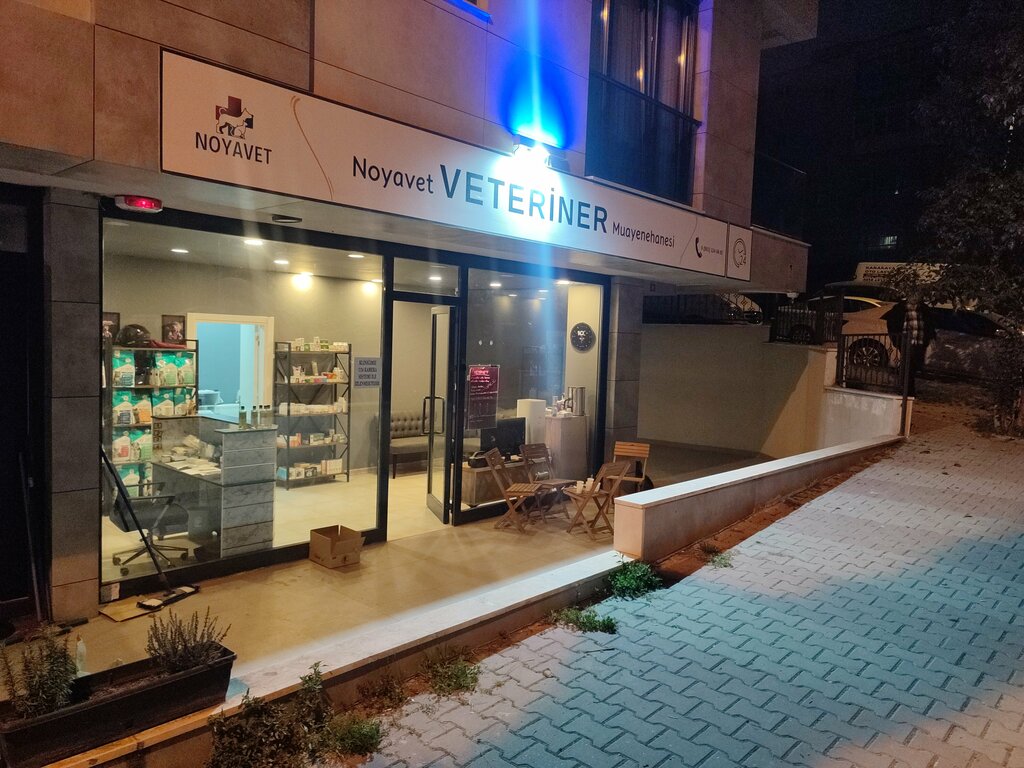 Veteriner klinikleri Noyavet Veteriner, İstanbul, foto