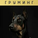 Стильный Хвост (Tsentralnaya ulitsa No:25А), evcil hayvan kuaförleri  Çernogolovka'dan