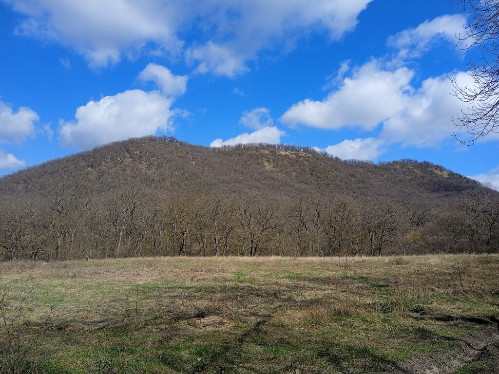 Dağ zirvesi Гора Козья 391 метр, Kırım Cumhuriyeti, foto