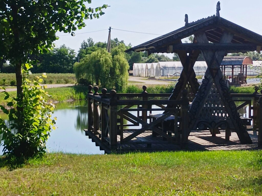 Fidan yetiştiriciliği Божий Дар, Brestskaya oblastı, foto