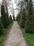 Orda Clinic (Jizzakh, Islom Karimov Avenue), sağlık denetim hizmetleri  Cizzak'tan