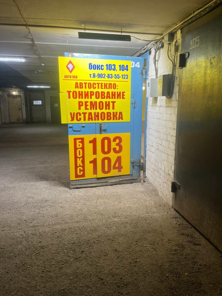 Araç camlarının renklendirilmesi Авто Лев, Perm, foto