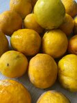 Новый магазин (Abzhuyskaya ulitsa No:12), market  Tkvarçeli'den