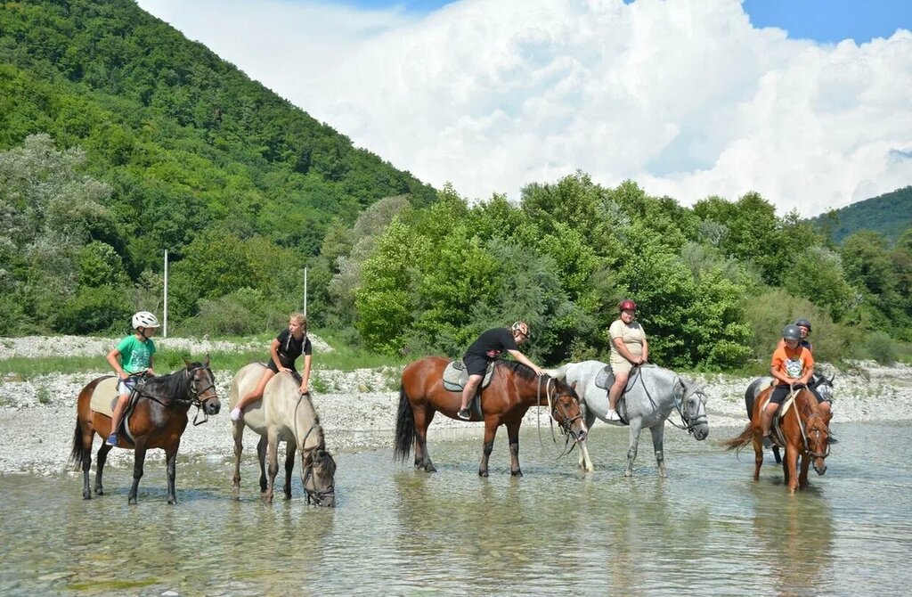 At ve binicilik kulüpleri Конные прогулки Небуг, Krasnodarski krayı, foto