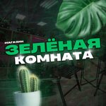 Зеленая комната (Dimitrova Street No:16к4с1), çiçekçiler  Saint‑Petersburg'dan