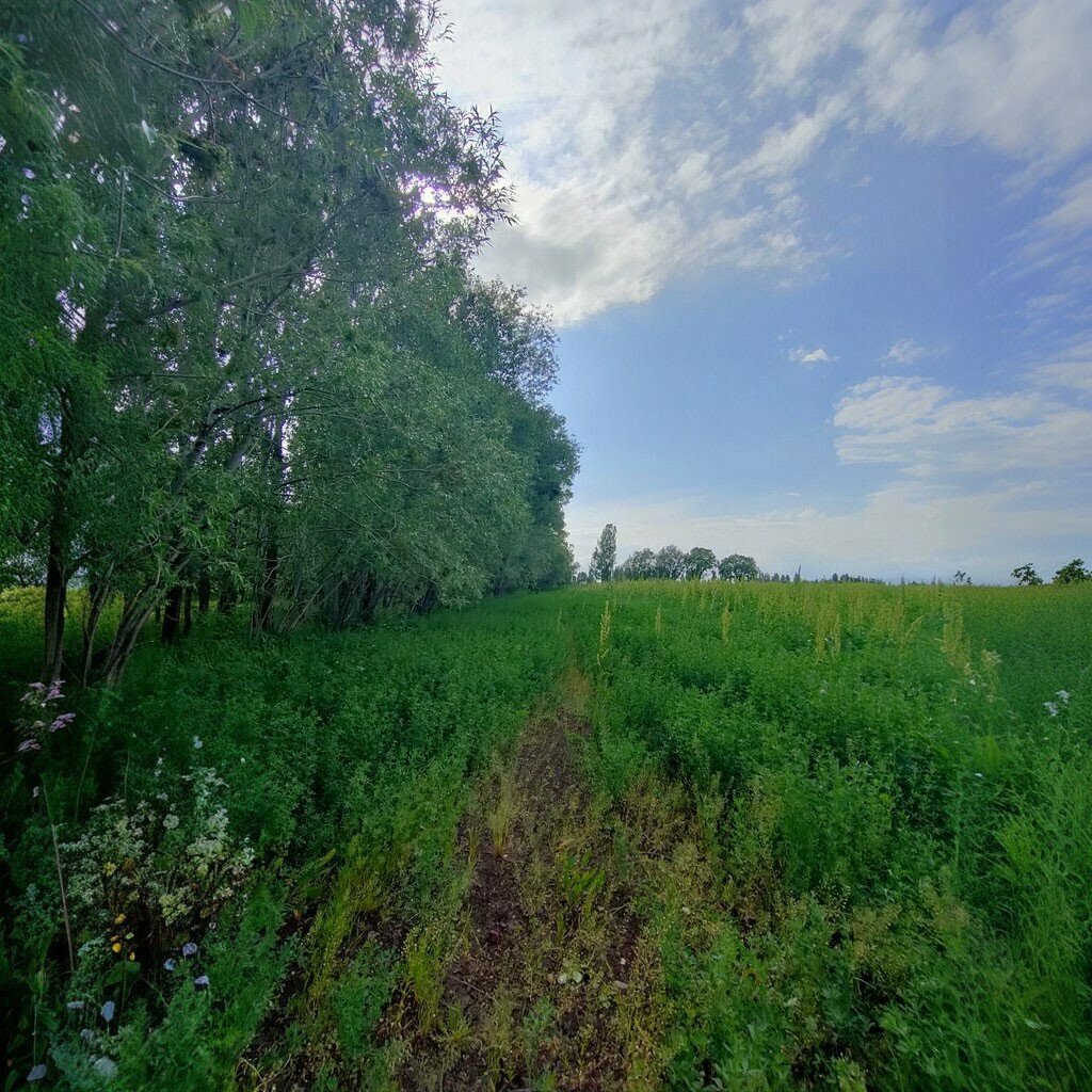 Restoran Marina Balikcisi, Ağrı, foto