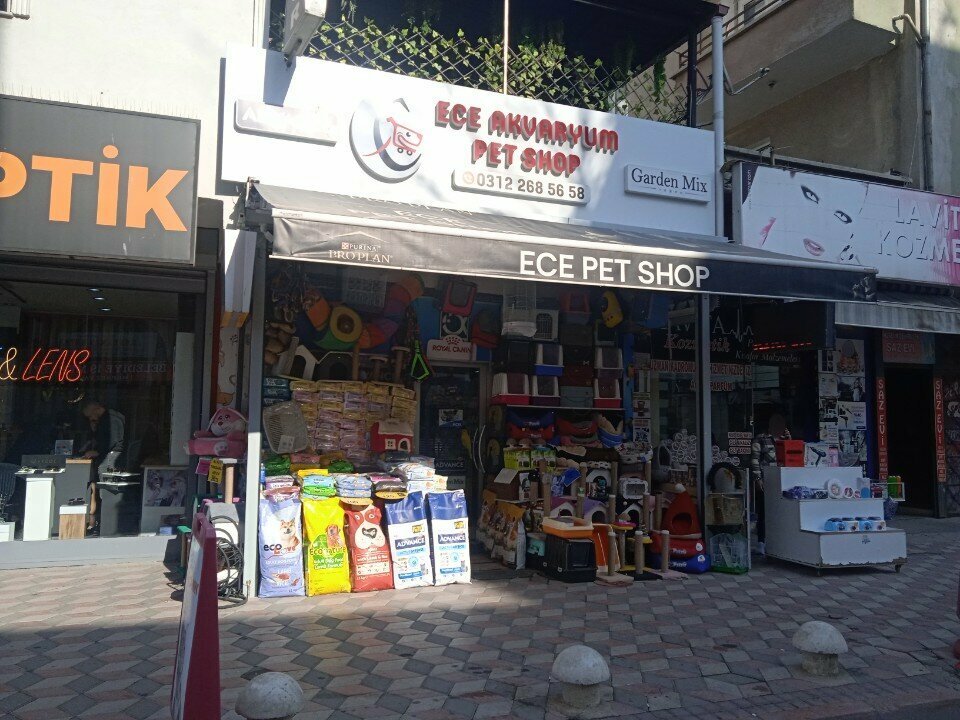 Petshop Ece, Ankara, foto