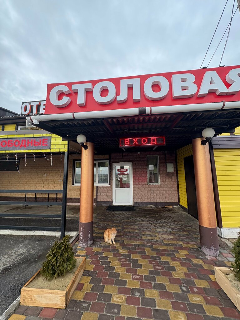 Kafe М-4, Voronejskaya oblastı, foto