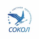 Частная прогимназия Сокол (Academician Sakharov Street No:23), özel okul  Çeliabinsk'ten