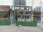 Goldfish Pet Shop Akvaryum (Ankara, Keçiören, Ayvalı Mah., Almus Sok., 7), petshop  Ankara'dan